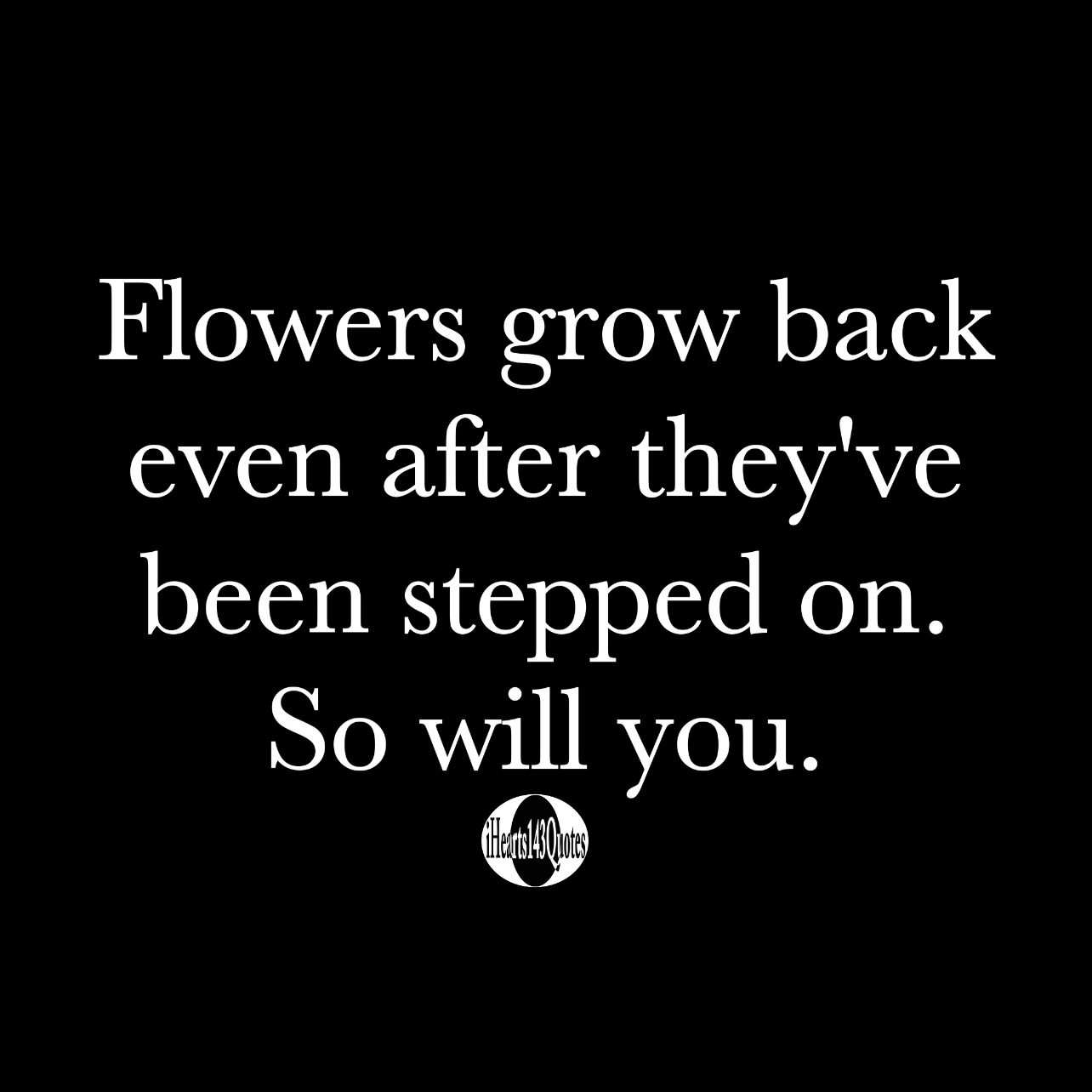 Flowers grow back even after they've been stepped on. So will you ...