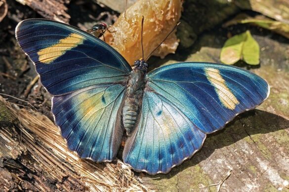 Daily Motivational Quotes - iHearts143Quotes