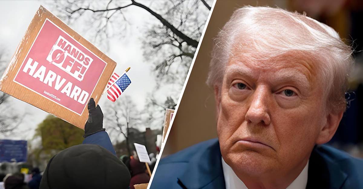 Harvard Fights Back: Defending Academic Freedom Amid Trump’s Campus ...
