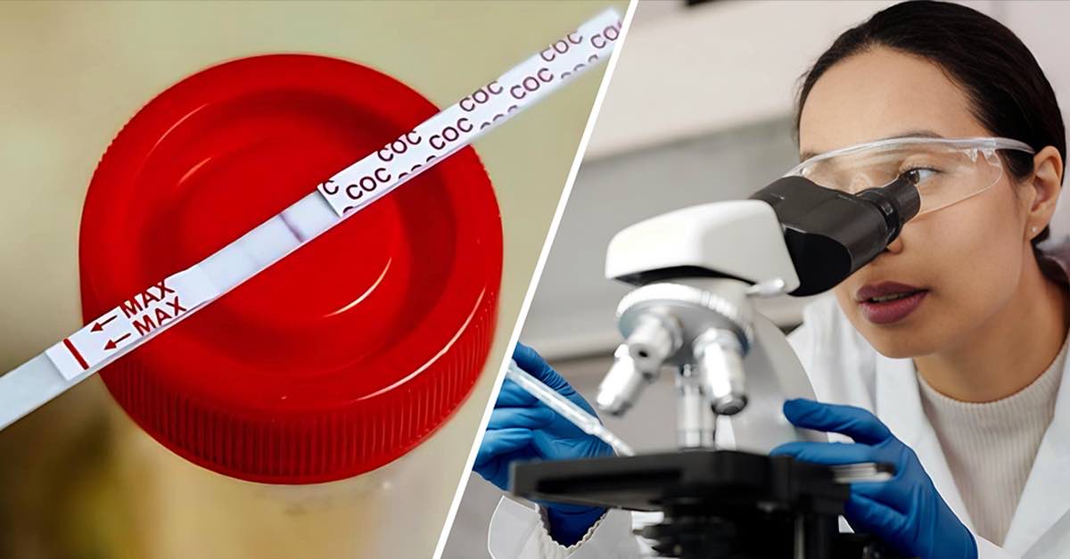 Revolutionary Urine Test Could Transform Prostate Cancer Diagnosis with ...