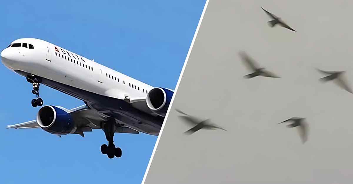 Delta Flight Forced to Make Emergency Landing in Miami After Bird ...